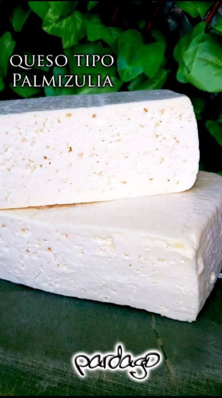 QUESO TIPO PALMIZULIA 500 g – Pardago